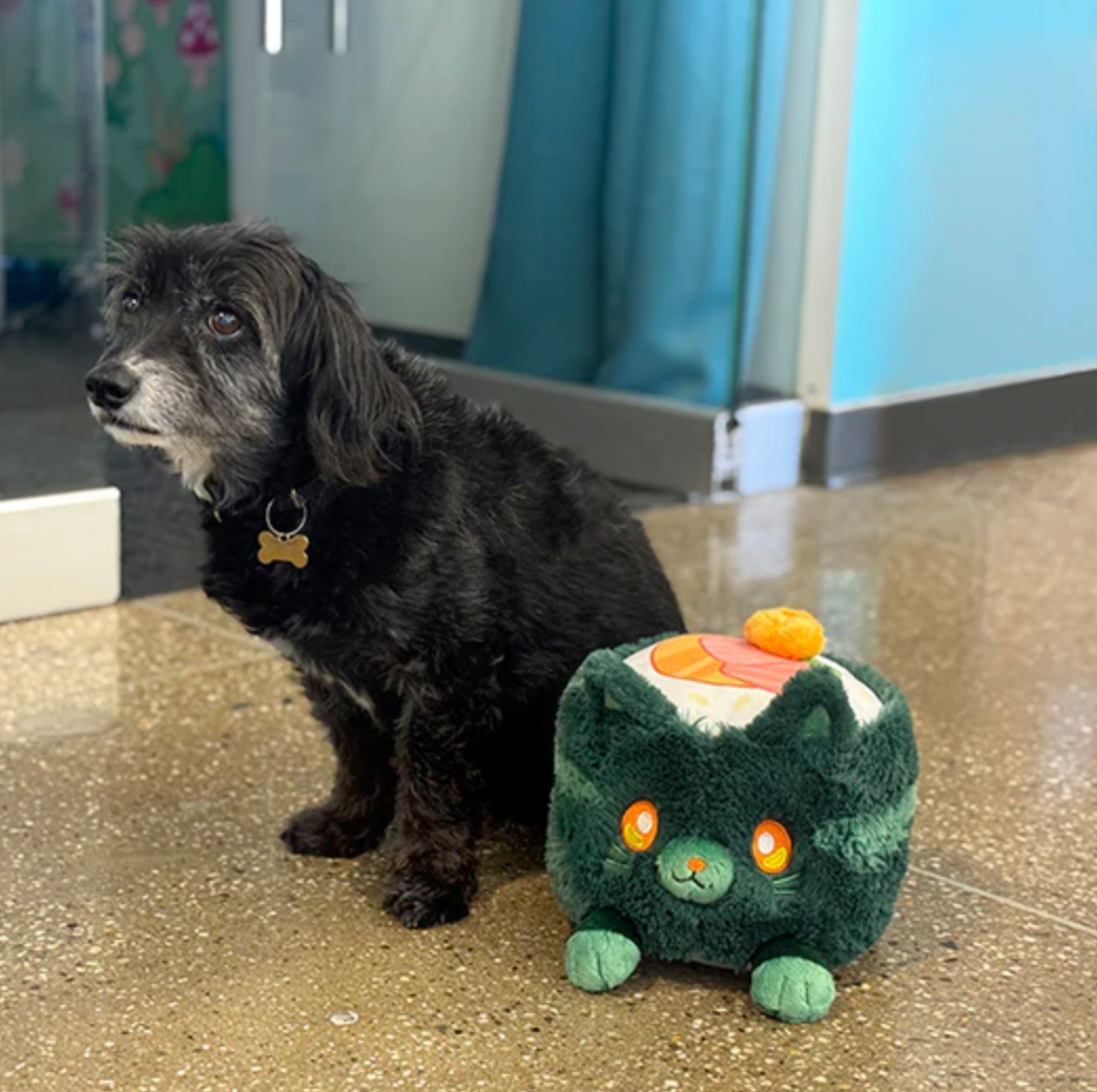 Mini Squishable Nori Cat – Silver Moon Kids